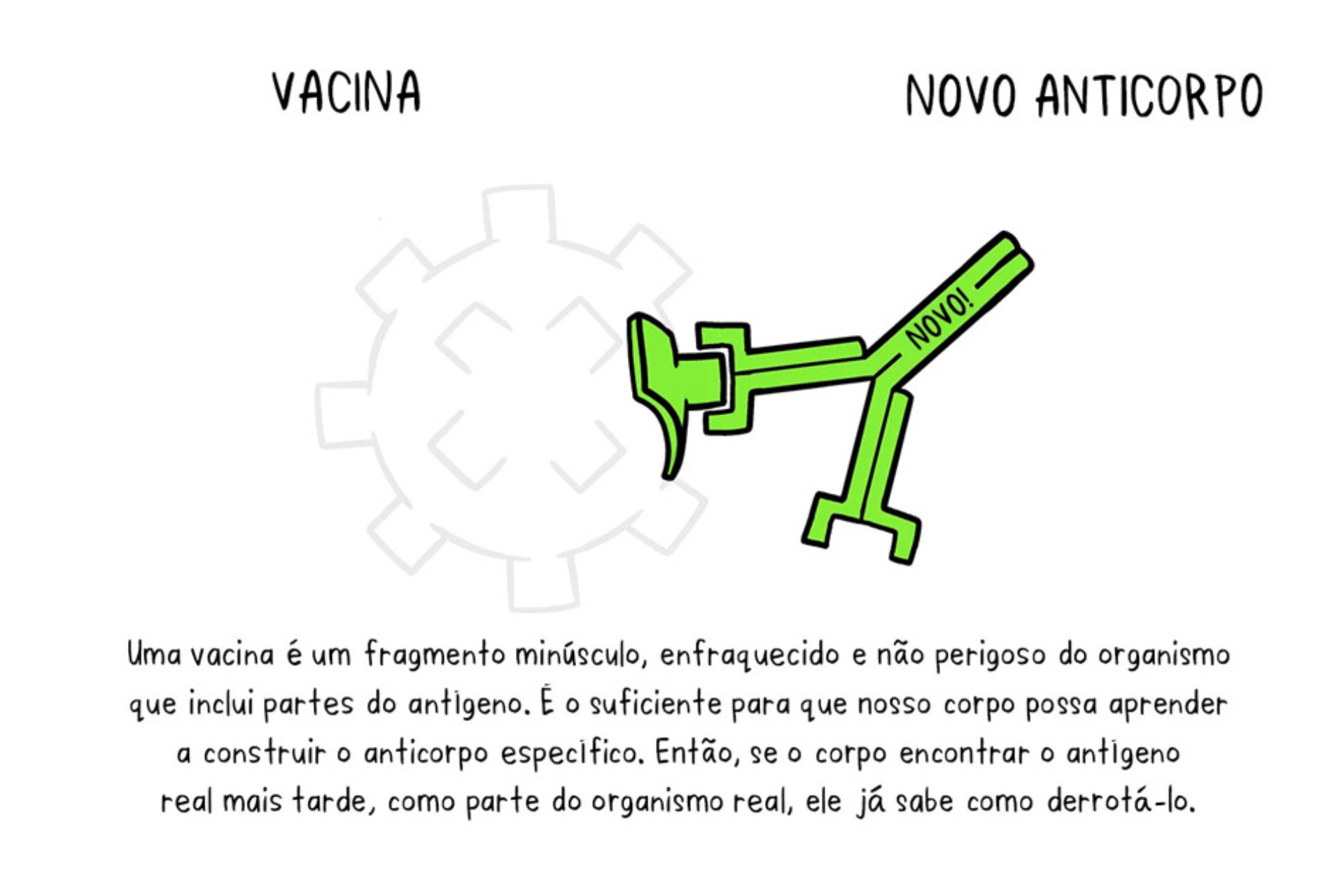 Como o nosso organismo reage a um agente infeccioso? – Observatório do ...
